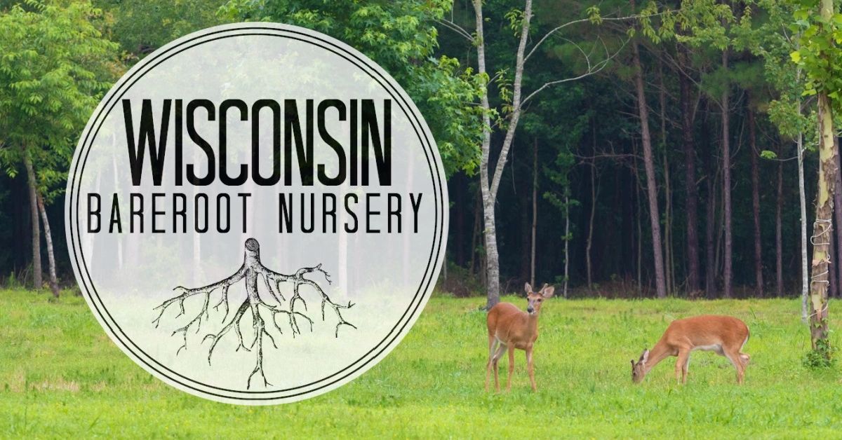 Wisconsin Bareroot Nursery